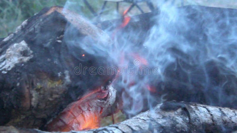 Open Fire Flames Burning in Campfire with Smoke at Evening Outdoor ...
