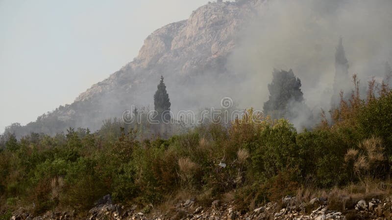 Open Fire with Smoke in the Bushes and Trees in the Mountains Stock ...
