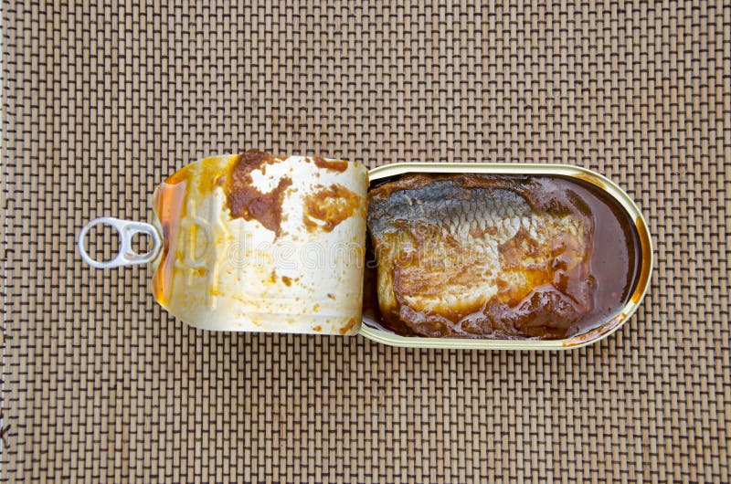 Open fish conserve box stock photo. Image of recycling - 38987588
