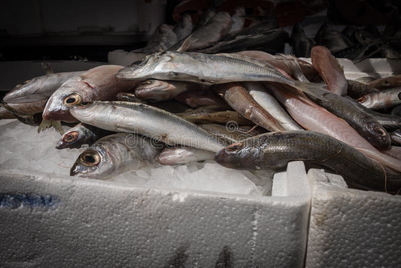Open fish market stock image. Image of fish, antipasti - 125067265