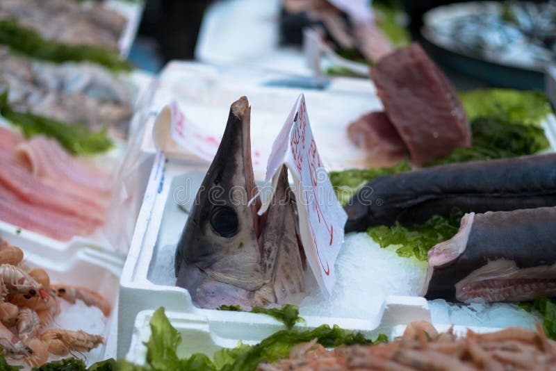 Open fish market stock image. Image of cutlery, hangover - 146173161