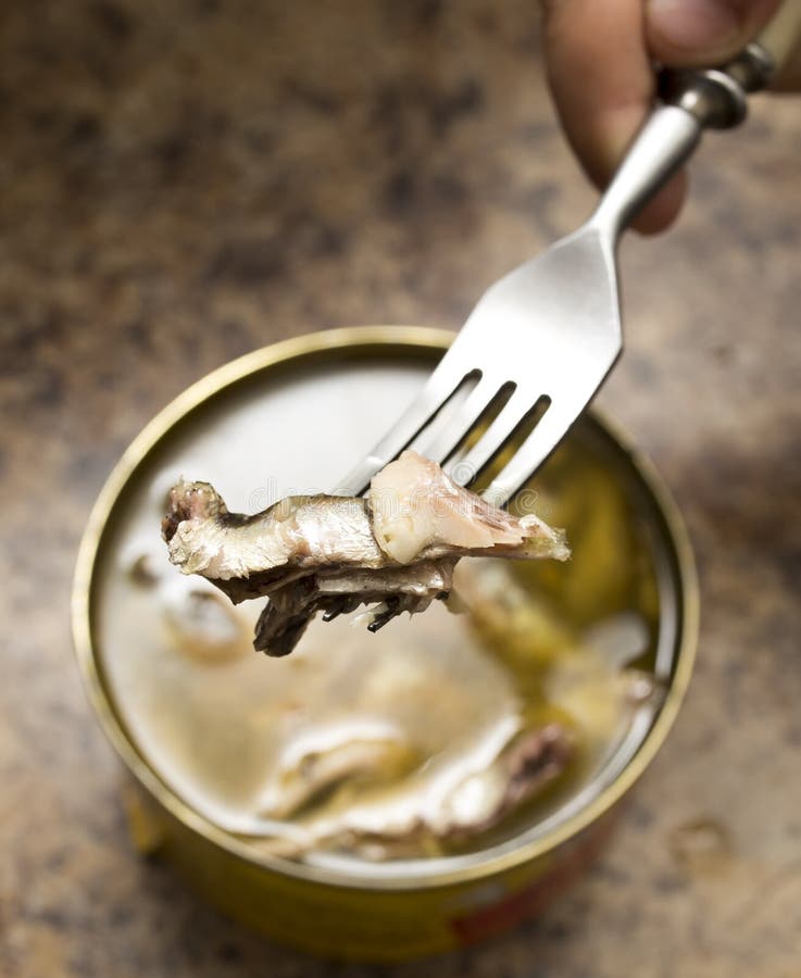 Open Fish Preserves and Fish on the Fork Stock Photo - Image of meal ...