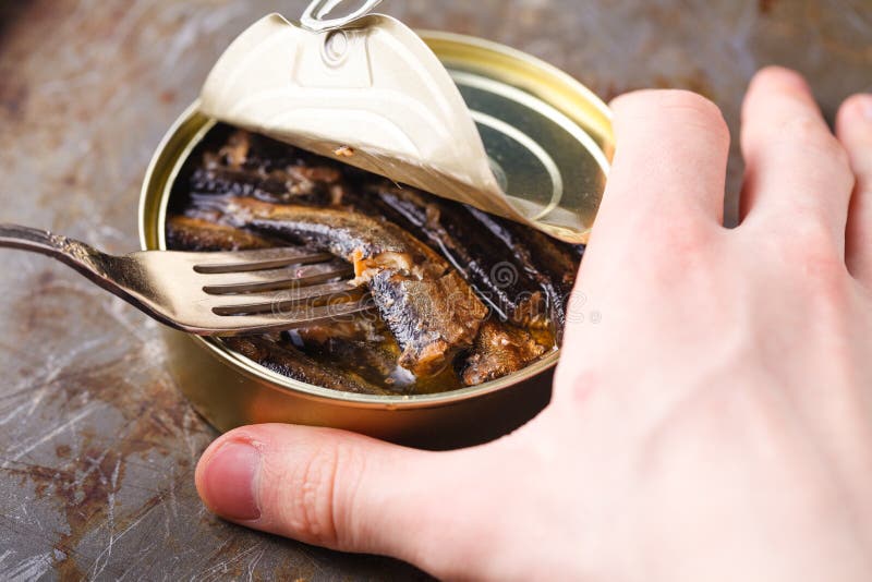 Open Fish Preserves and Fish on the Fork Stock Photo - Image of tinned ...