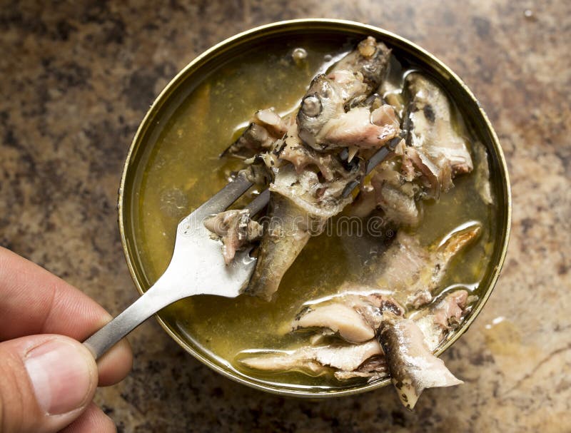 Open Fish Preserves and Fish on the Fork Stock Image - Image of healthy ...