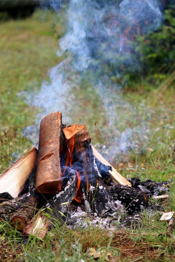 Open Flame stock photo. Image of grill, shallow, outside - 141502506