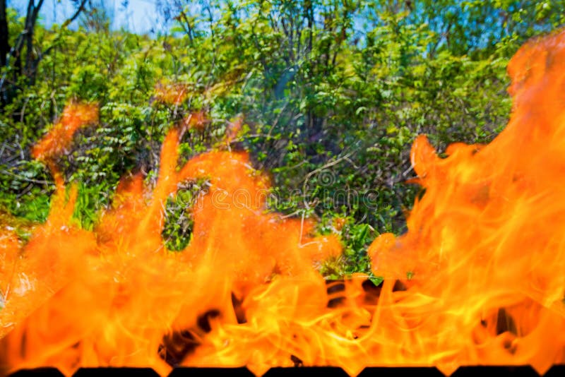 Open Flame, a Bright Red Flame on the Outdoors Stock Image - Image of ...