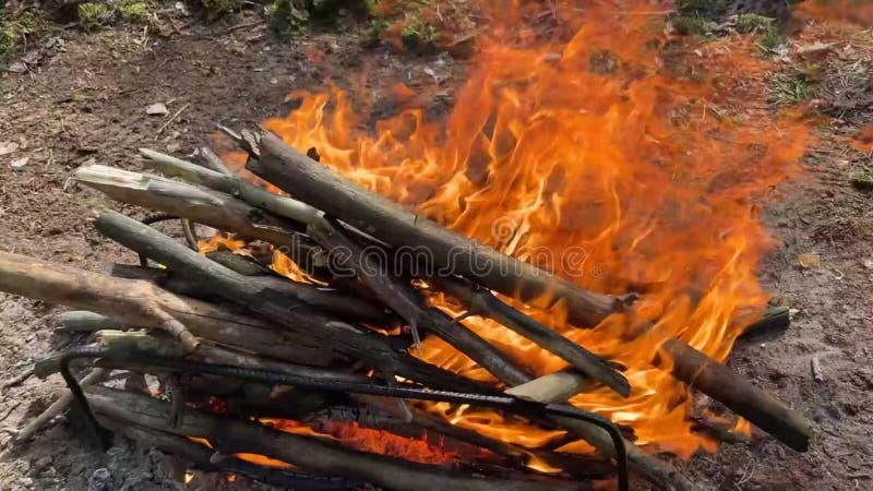 An Open Flame of Fire in the Forest in Early Spring Stock Footage ...