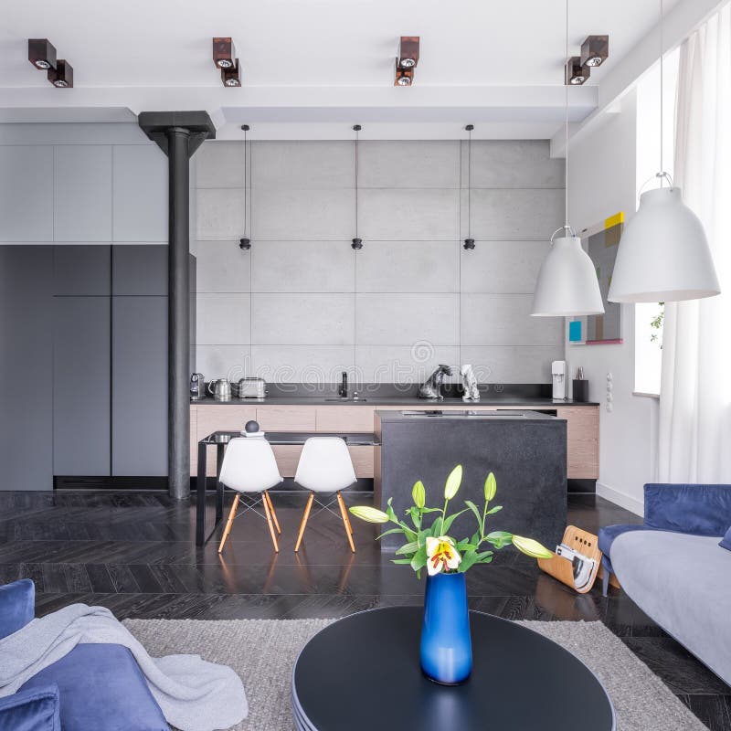 Open floor apartment stock image. Image of grey, open - 85717817