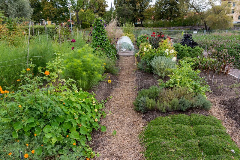 Open Garden in the Town of Mariestad Stock Image - Image of soil, green ...
