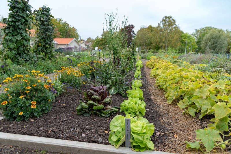 Open Garden in the Town of Mariestad Stock Photo - Image of ...