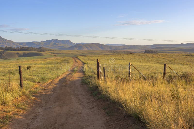 Open gate and farm road stock image. Image of sunlight - 87806965