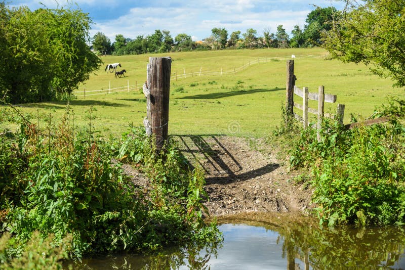 Open Gate To a Field at a Nature Reserve during a Warm Summer Day Stock ...