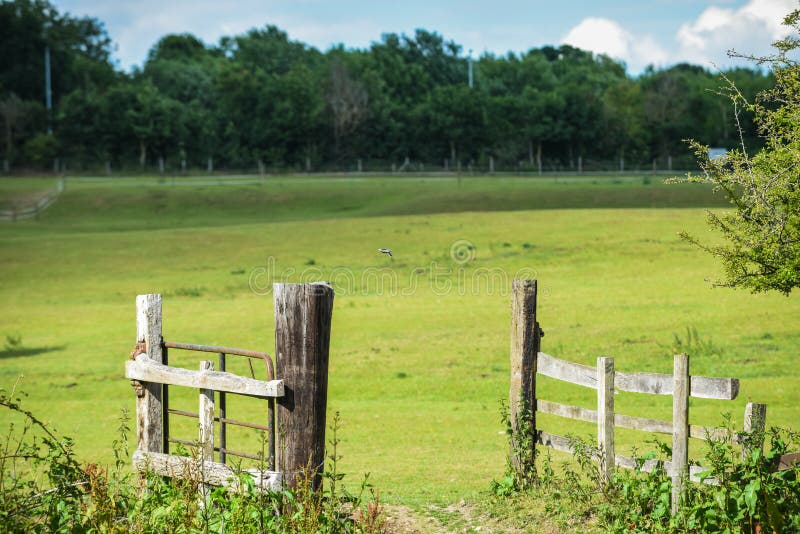 Open Gate To a Field at a Nature Reserve during a Warm Summer Day Stock ...