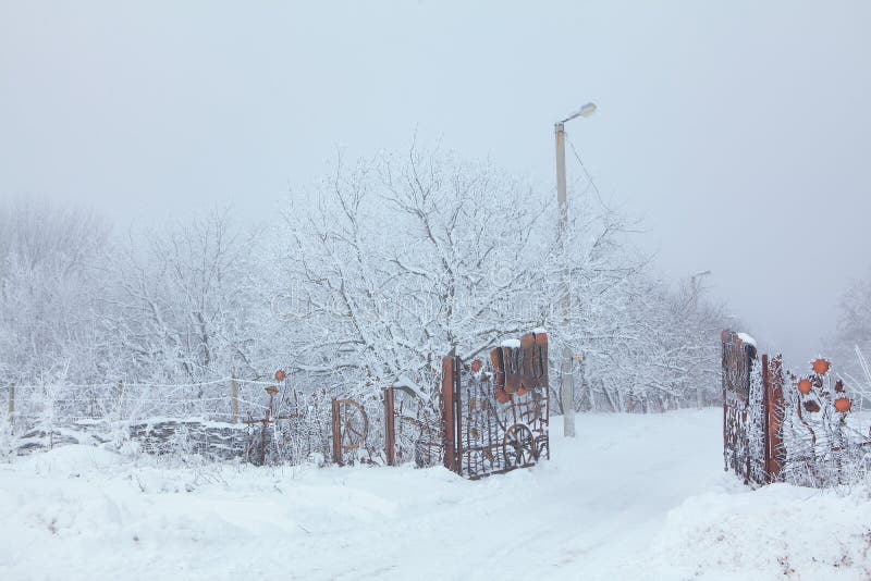 Open Gate in Winter stock image. Image of field, farm - 189338115