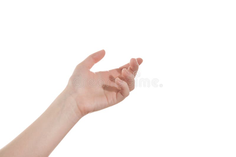 Open Girl`s Hand Isolated on White Background. Gesture Stock Image ...