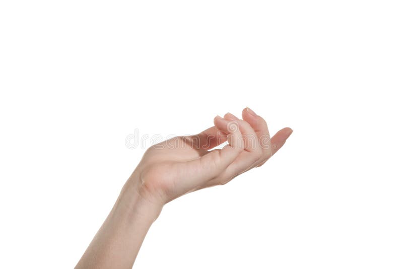 Open Girl`s Hand Isolated on White Background. Gesture Stock Image ...