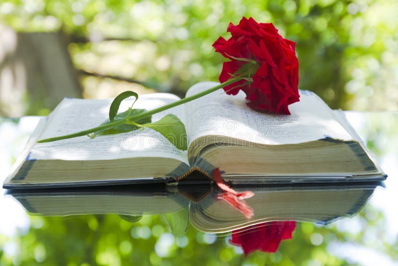 Open Bible With Flowers