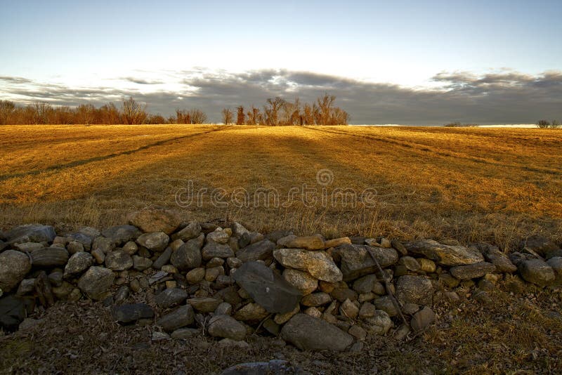 Field of gold stock photo. Image of grass, texture, field - 30257014