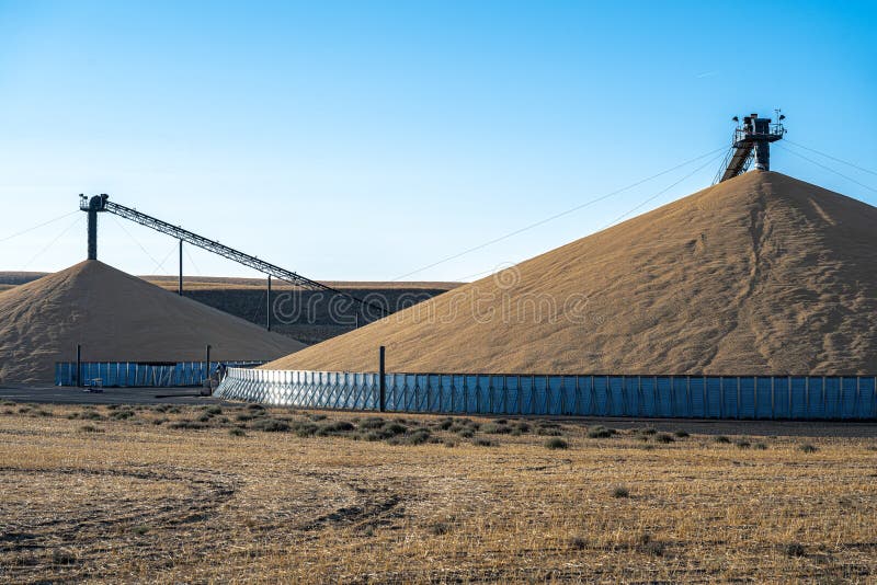 Open Grain Storage Facilities Stock Photo - Image of plant, move: 260456596