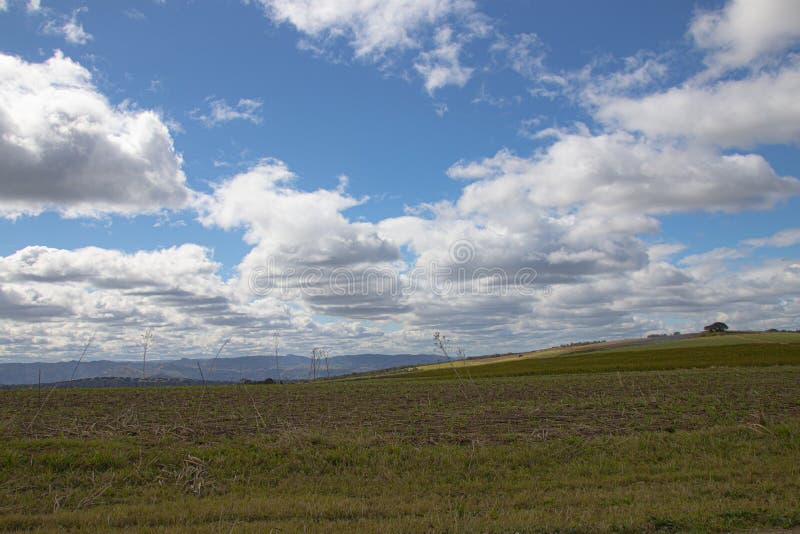 Open Grass Field with Cloudy Blue Sky Stock Image - Image of horizon ...