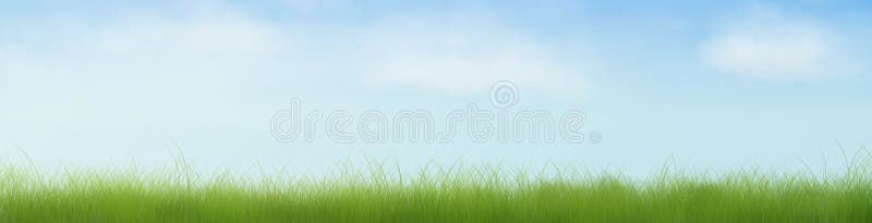 Open Grass Field Half Banner Stock Illustration - Illustration of copy ...