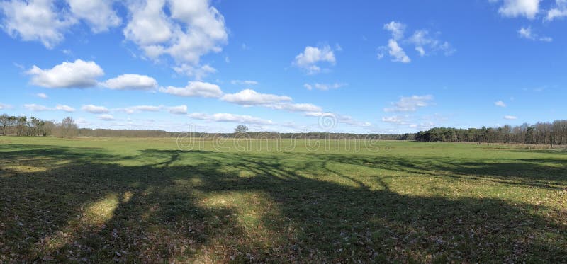 Open Grass Field in Kalmthout Heath - De Zoom Nature Reserve Stock ...