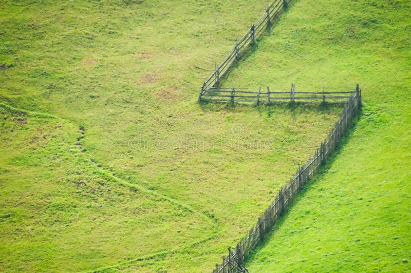 Open grass fields stock photo. Image of farm, meadow - 12867392