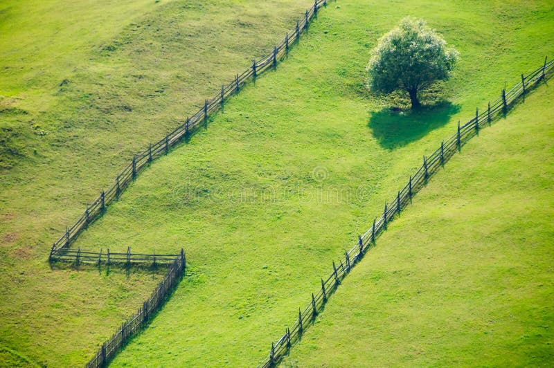 Open grass fields stock photo. Image of landscape, crops - 12867398