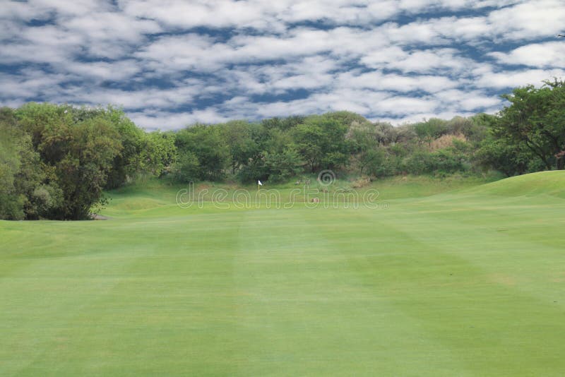 Open Green Golf Fairway Blue Sky and Clouds Stock Photo - Image of ...