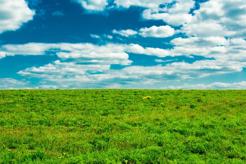 Open meadow 2 stock photo. Image of italy, golf, agriculture - 1211844