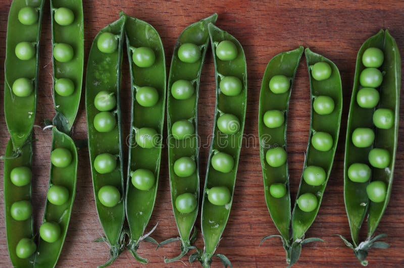 Open Green Peas in the Pod_5 Stock Image - Image of agriculture ...