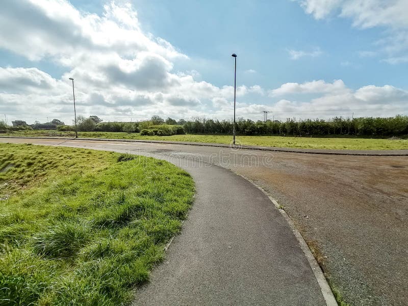 In the Open Ground in the Garden Grows Sorrel Stock Photo - Image of ...