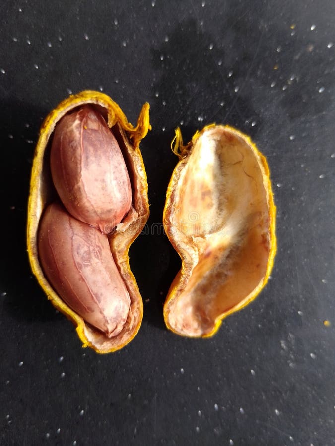 Open Groundnut Peanut with Shell on Floor Stock Photo - Image of peanut ...