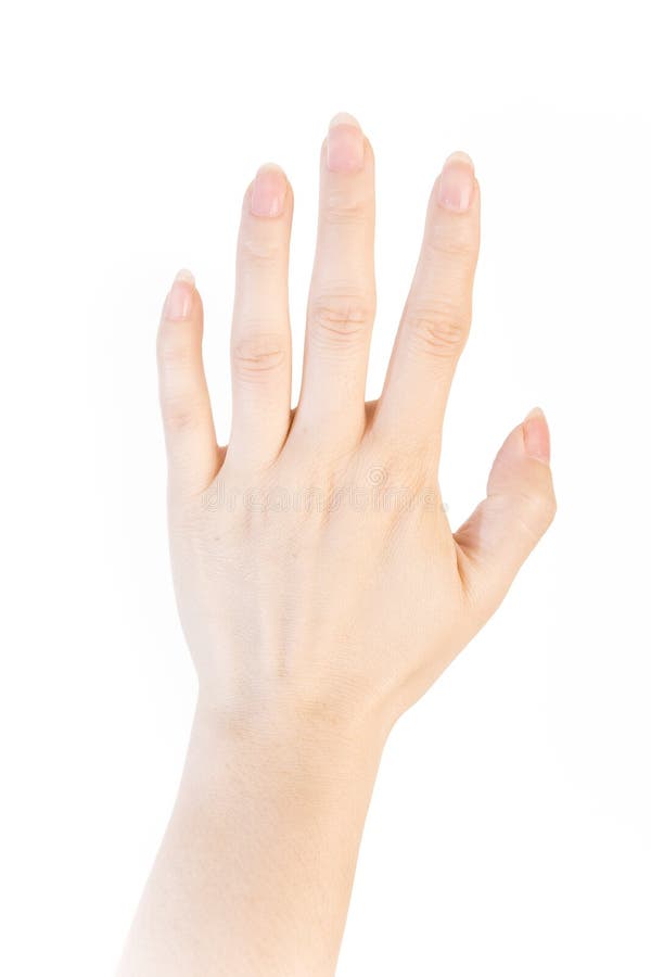 Female Hand Grabbing or Holding Round Object Isolated on White Stock ...