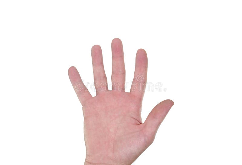 329,820 Open Hand Stock Photos - Free & Royalty-Free Stock Photos from ...