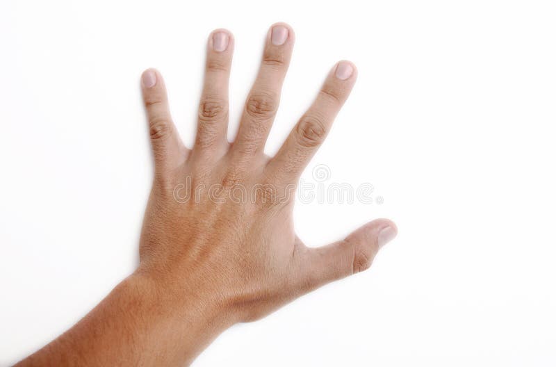 Open Back of Black Woman S Hand Stock Image - Image of high, palm: 29270927