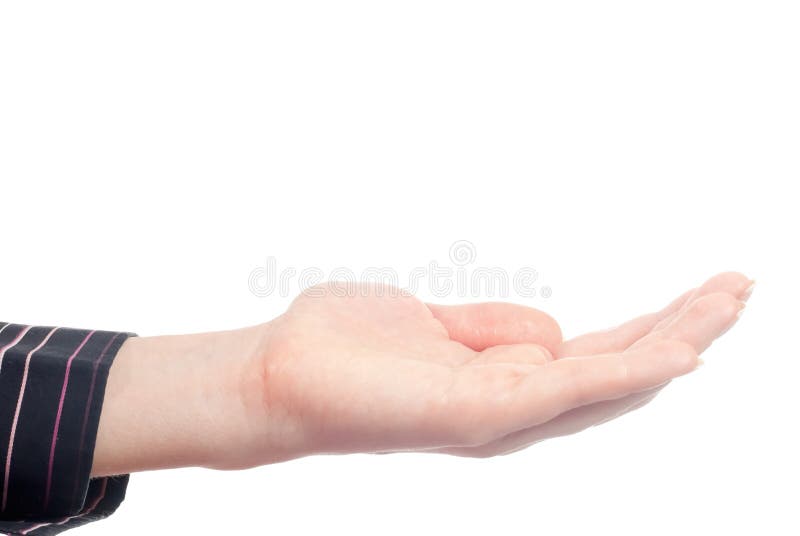 Open hand stock image. Image of isolated, copy, nature - 18578657