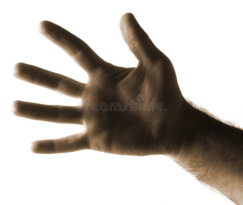 Open palm hand stock image. Image of fingers, demonstrate - 2386721