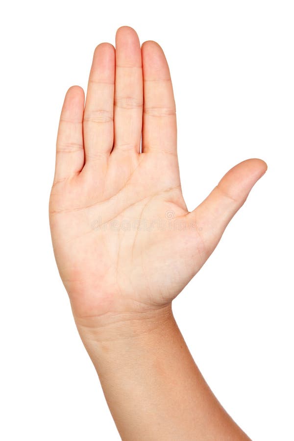 Open hand stock photo. Image of clipping, finger, close - 20912298