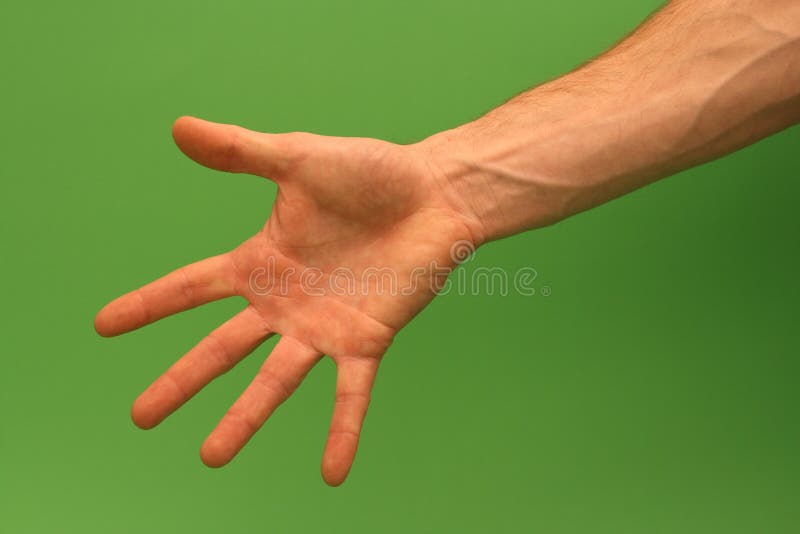 Male Hand Hanging Down Isolated on White Stock Image - Image of ...