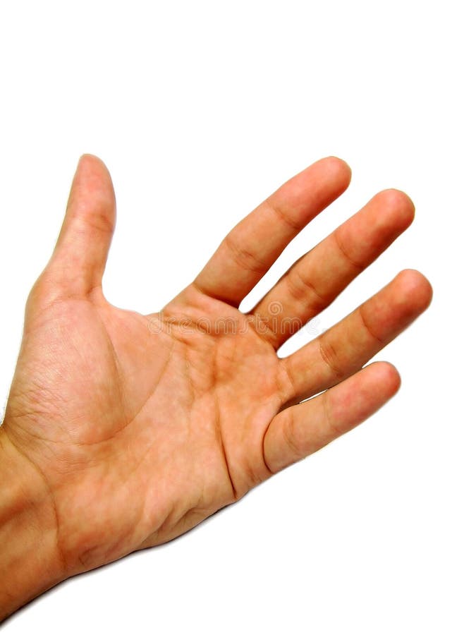 Open Hand, Palm To Camera with Fingers, Isolated Stock Photo - Image of ...