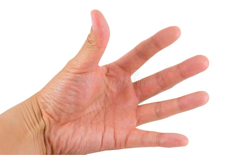 Open Hand, Palm To Camera with Fingers, Isolated Stock Photo - Image of ...