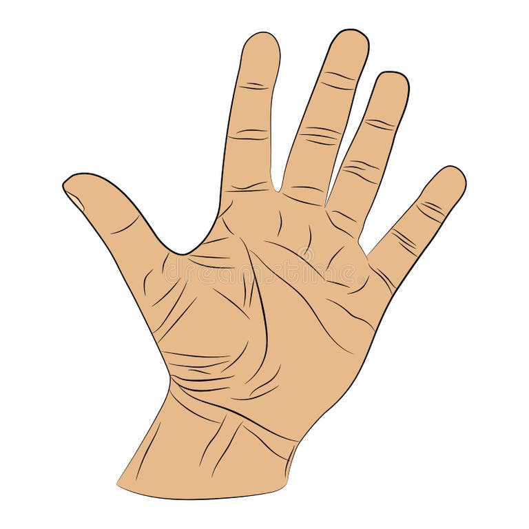 Open Hand Drawing Illustration Stock Illustration - Illustration of ...