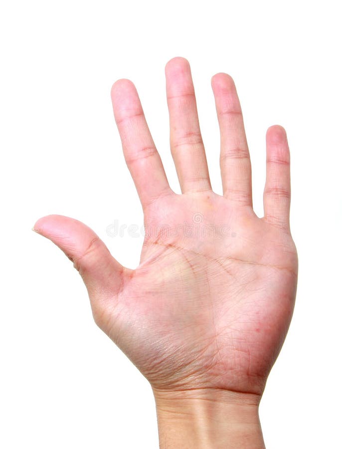 Open back hand stock photo. Image of girl, blank, hand - 2183782