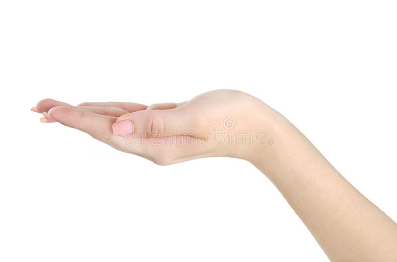 Open hand stock photo. Image of carrying, hold, human - 37471224