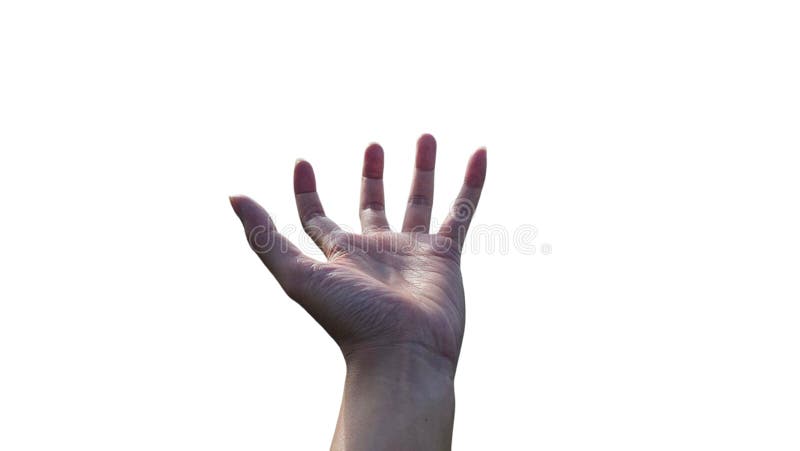 Open Hand Gesture, Symbolizing Freedom and Connection Stock Photo ...