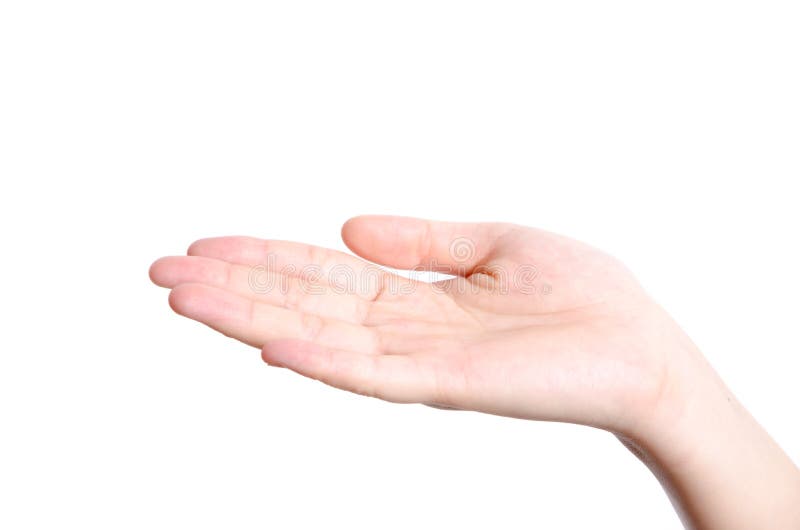 Open hand isolated stock image. Image of body, white - 27902013