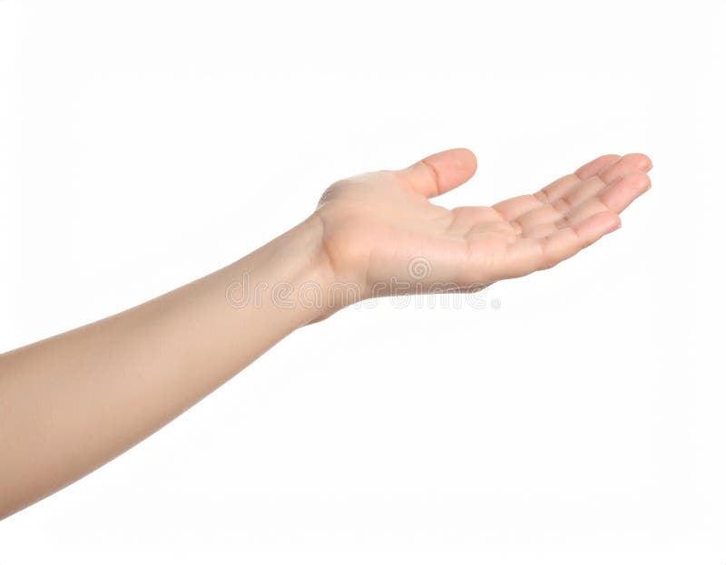Open Hand Isolated in Solid White Background Stock Illustration ...
