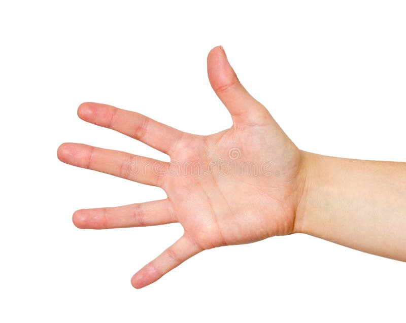 Open hand stock image. Image of hold, palm, white, caucasian - 36874895