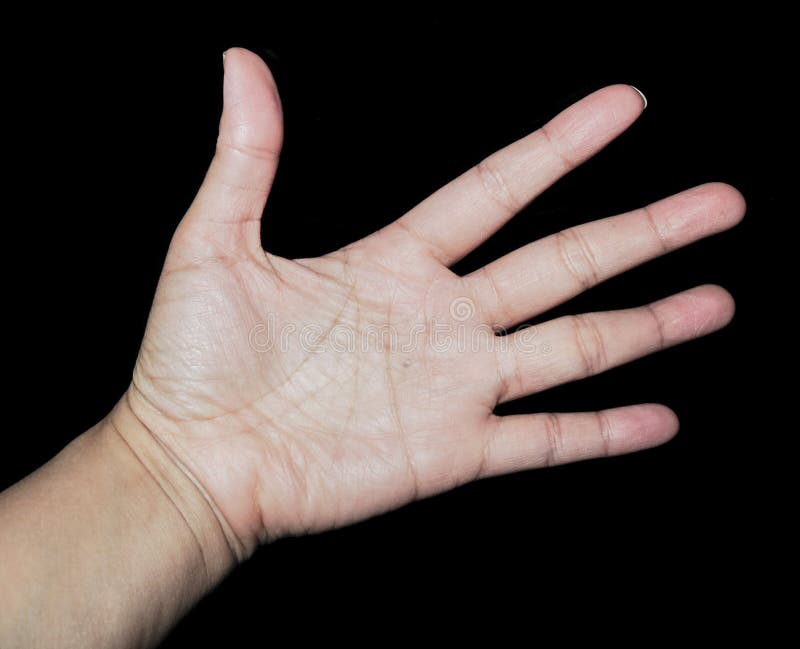 Open hand left stock image. Image of clean, competitive - 73070033